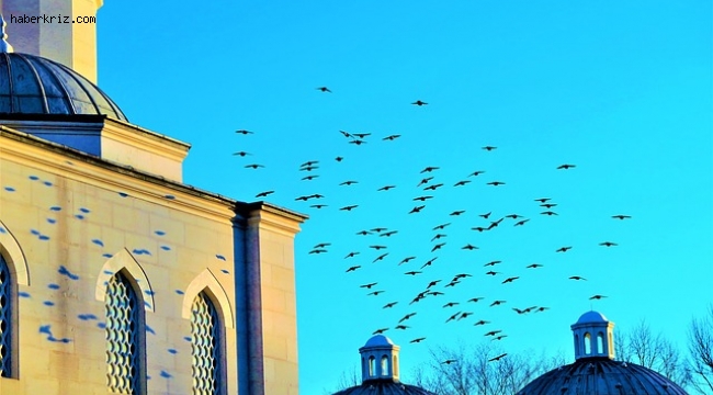 Mecid ne demek? Mecid anlamı ve manası nedir? Allah'ın mecid ismi nedir ...